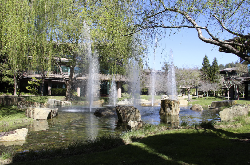 Startups Breathe New Life into "Old Borland" Building - Santa Cruz Tech ...