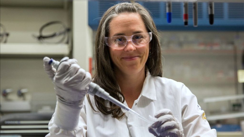 Built from scratch: Improving vaccines with molecular insights - Santa ...