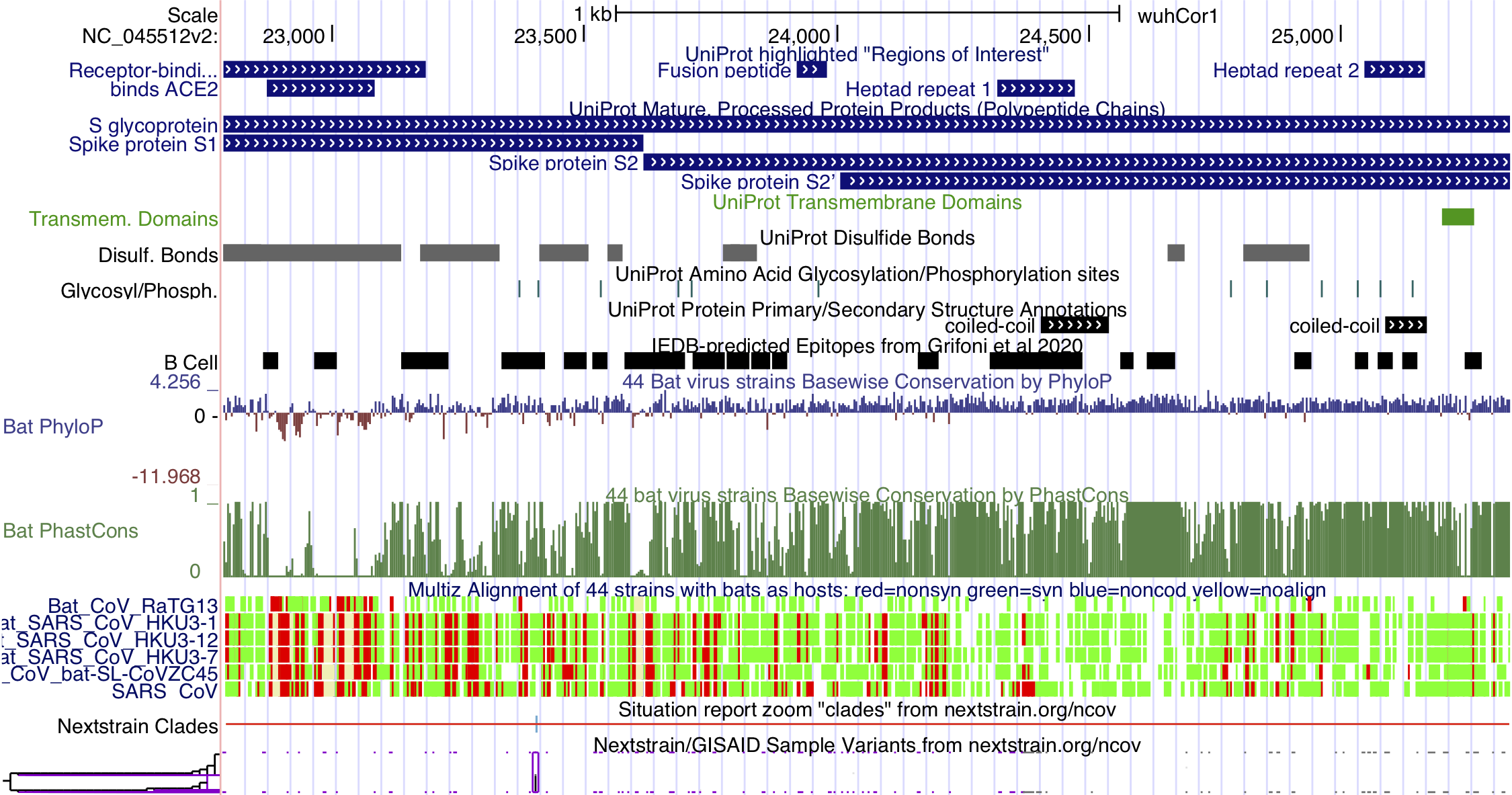 UC COVID-19 seed funding supports UCSC coronavirus genome browser ...