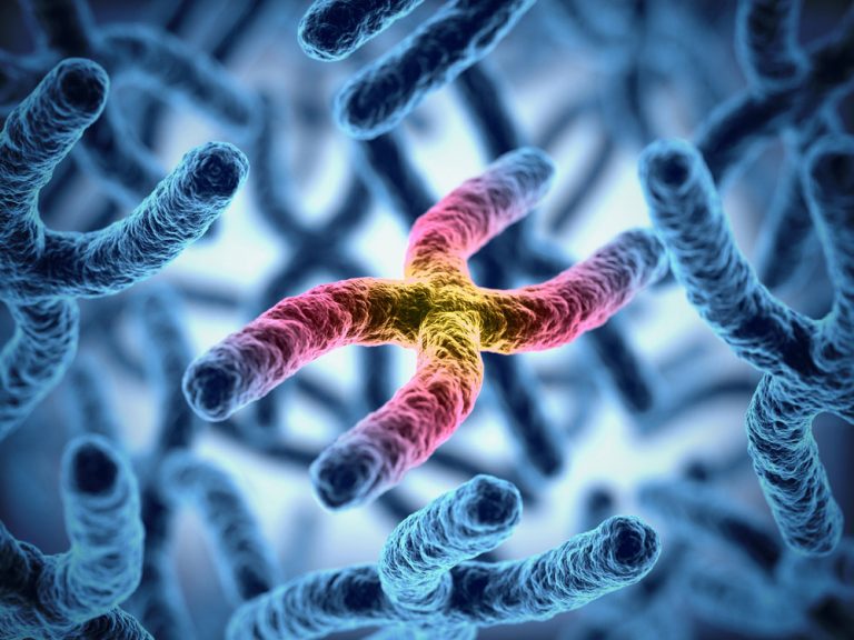 Scientists achieve first complete assembly of human X chromosome ...