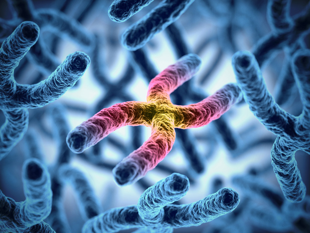 Scientists achieve first complete assembly of human X chromosome ...
