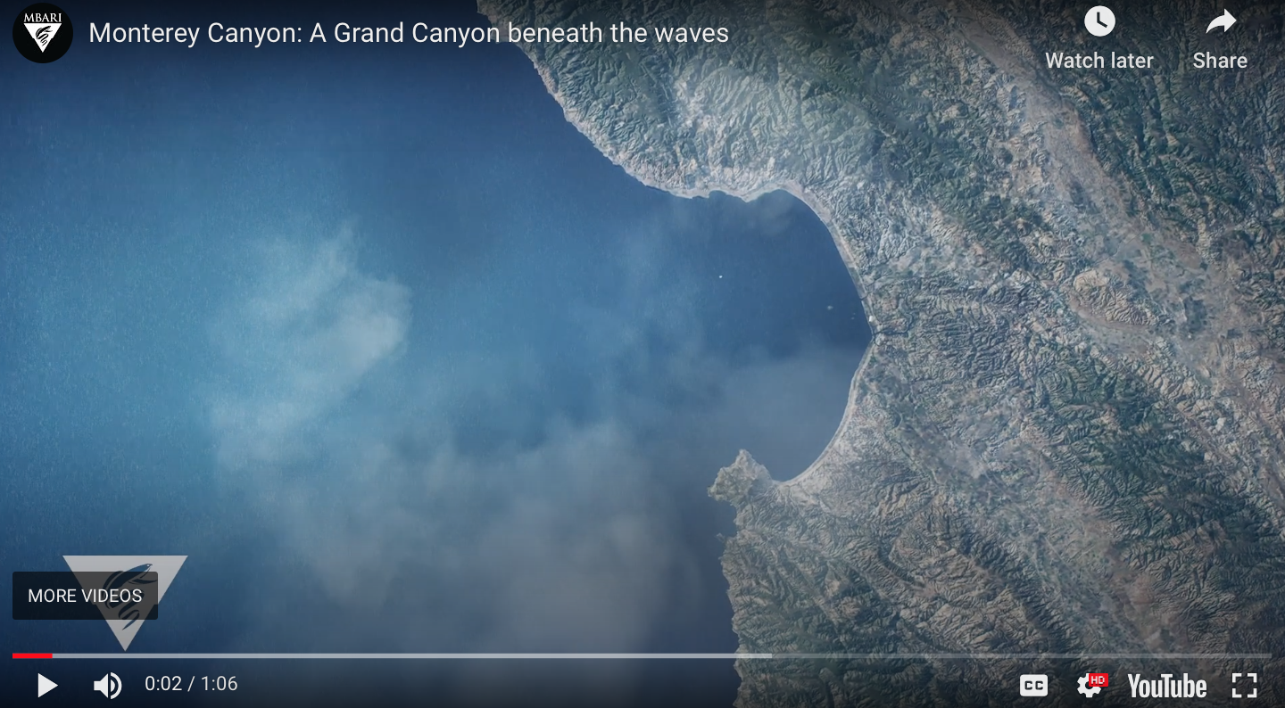 MBARI: New animation drains Monterey Bay to uncover the beauty of its ...